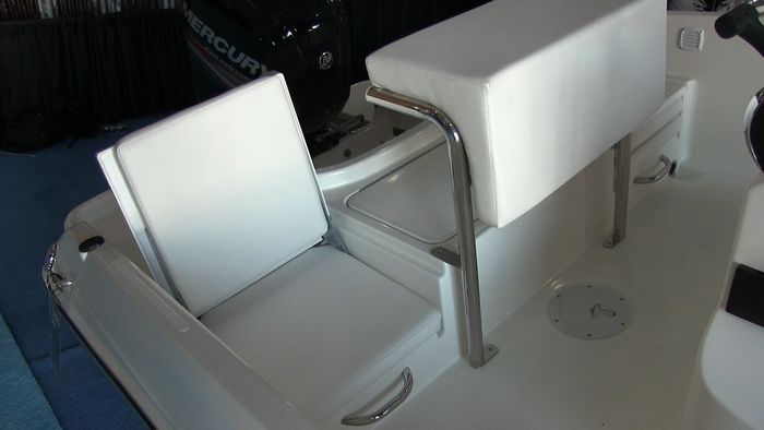 2016 Bayliner Element F16 Center Console Boat Review - BoatDealers.ca
