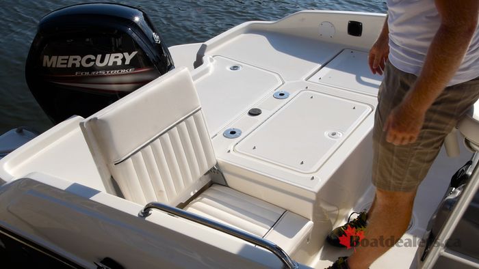 2017 Bayliner Element F21 Center Console Boat Review - BoatDealers.ca