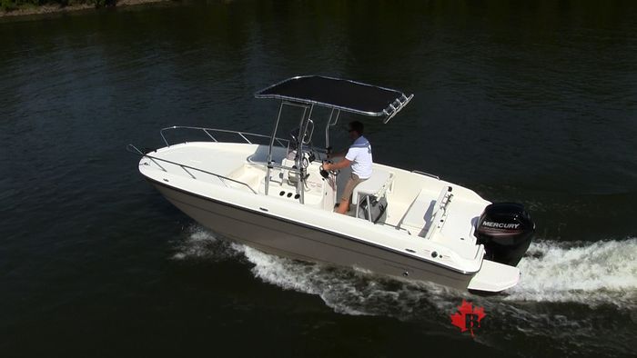 2017 Bayliner Element F21 Center Console Boat Review - BoatDealers.ca