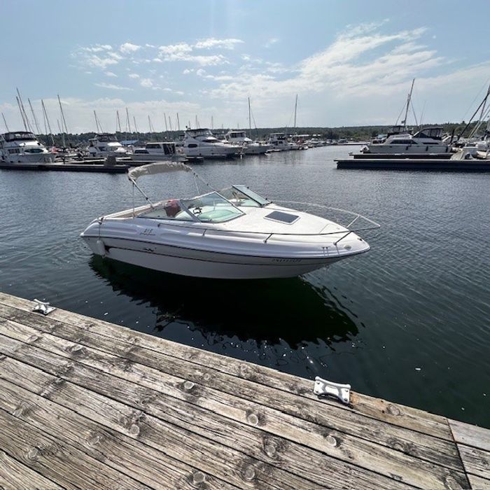 Sea Ray 215 EXPRESS CUDDY 1996 Used Boat for Sale in Penetanguishene ...