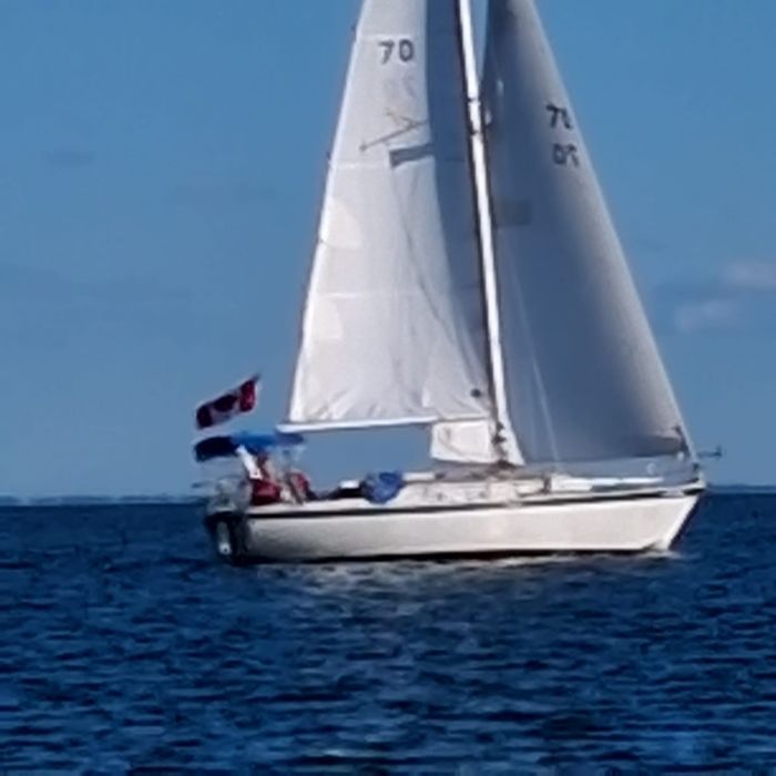 Niagra 31 1984 Used Boat for Sale in Hawkestone, Ontario - BoatDealers.ca