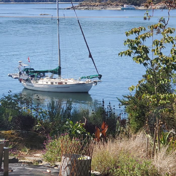 Tayana MkII 1983 Used Boat for Sale in Duncan, British Columbia ...